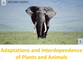 1. Grade 5-Adaptations and Interdependence of Plants and ...