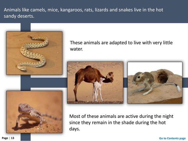 1. Grade 5-Adaptations and Interdependence of Plants and ...