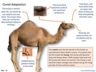 1. Grade 5-Adaptations and Interdependence of Plants and ...