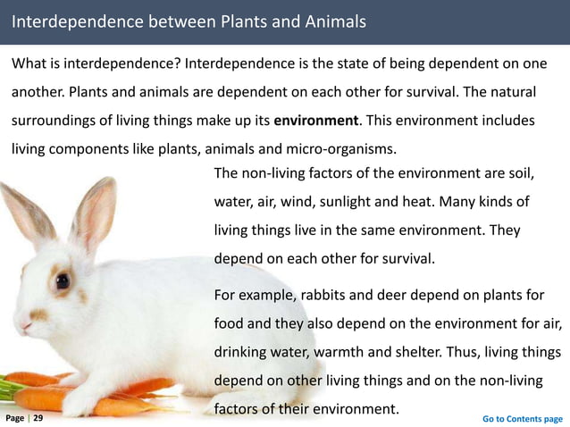 1. Grade 5-Adaptations and Interdependence of Plants and ...