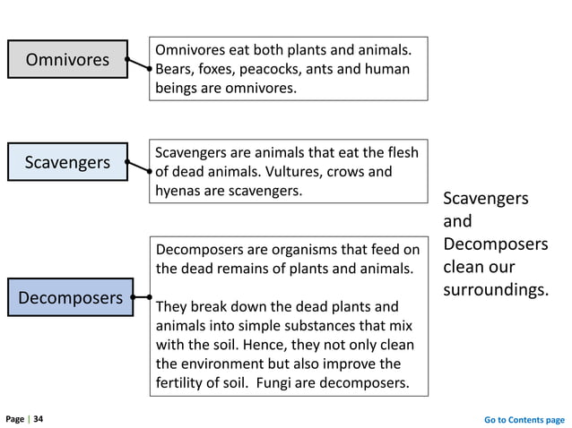 1. Grade 5-Adaptations and Interdependence of Plants and ...