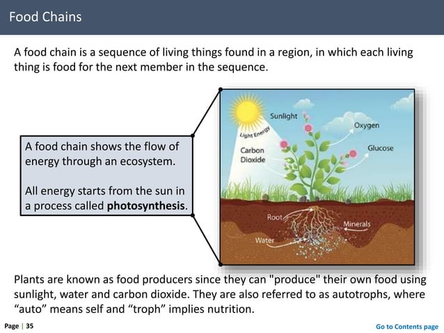 1. Grade 5-Adaptations and Interdependence of Plants and ...