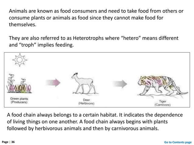 1. Grade 5-Adaptations and Interdependence of Plants and ...