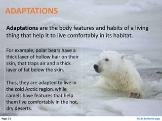 1. Grade 5-Adaptations and Interdependence of Plants and ...