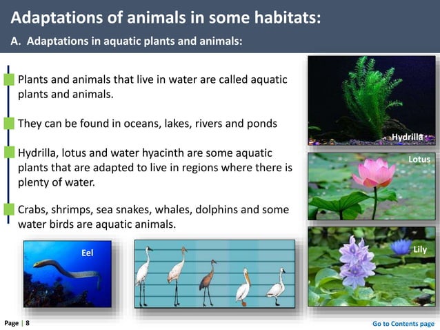 1. Grade 5-Adaptations and Interdependence of Plants and ...