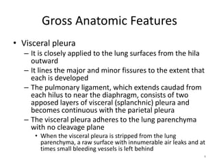 1.Anatomy and physiology of the pleura.pptx