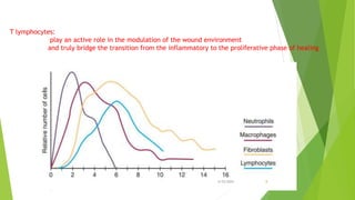 1.Wound healing 2.pptxon the surgical point | PPTX