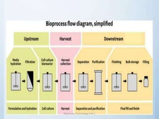 History & overview of Bioprocess Technology.pptx