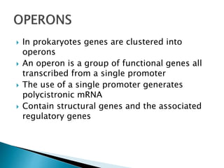 1. REGULATION OF GENE Expression-note .pptx