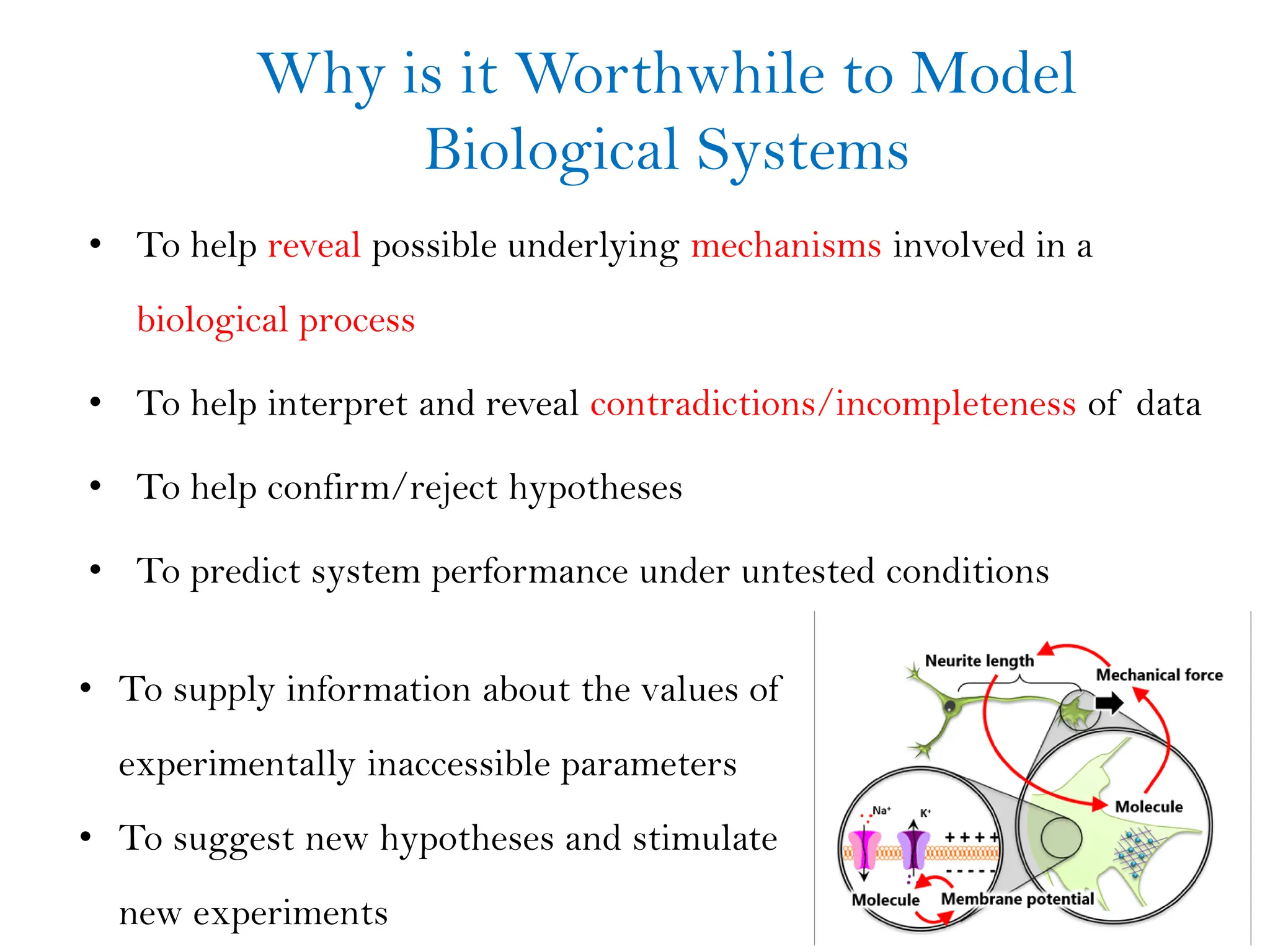 1. Introduction_Physiological Modeling.pdf