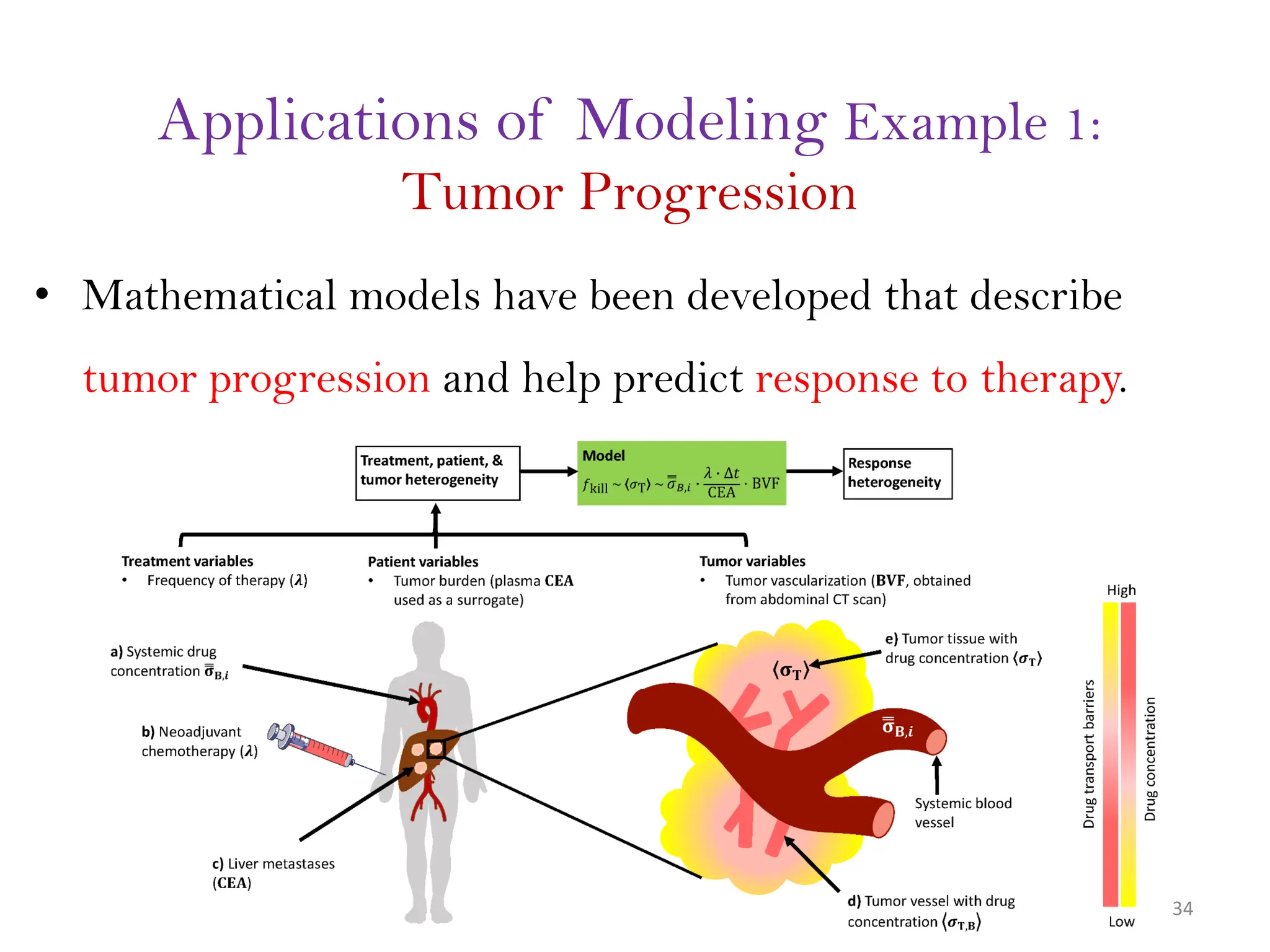 1. Introduction_Physiological Modeling.pdf