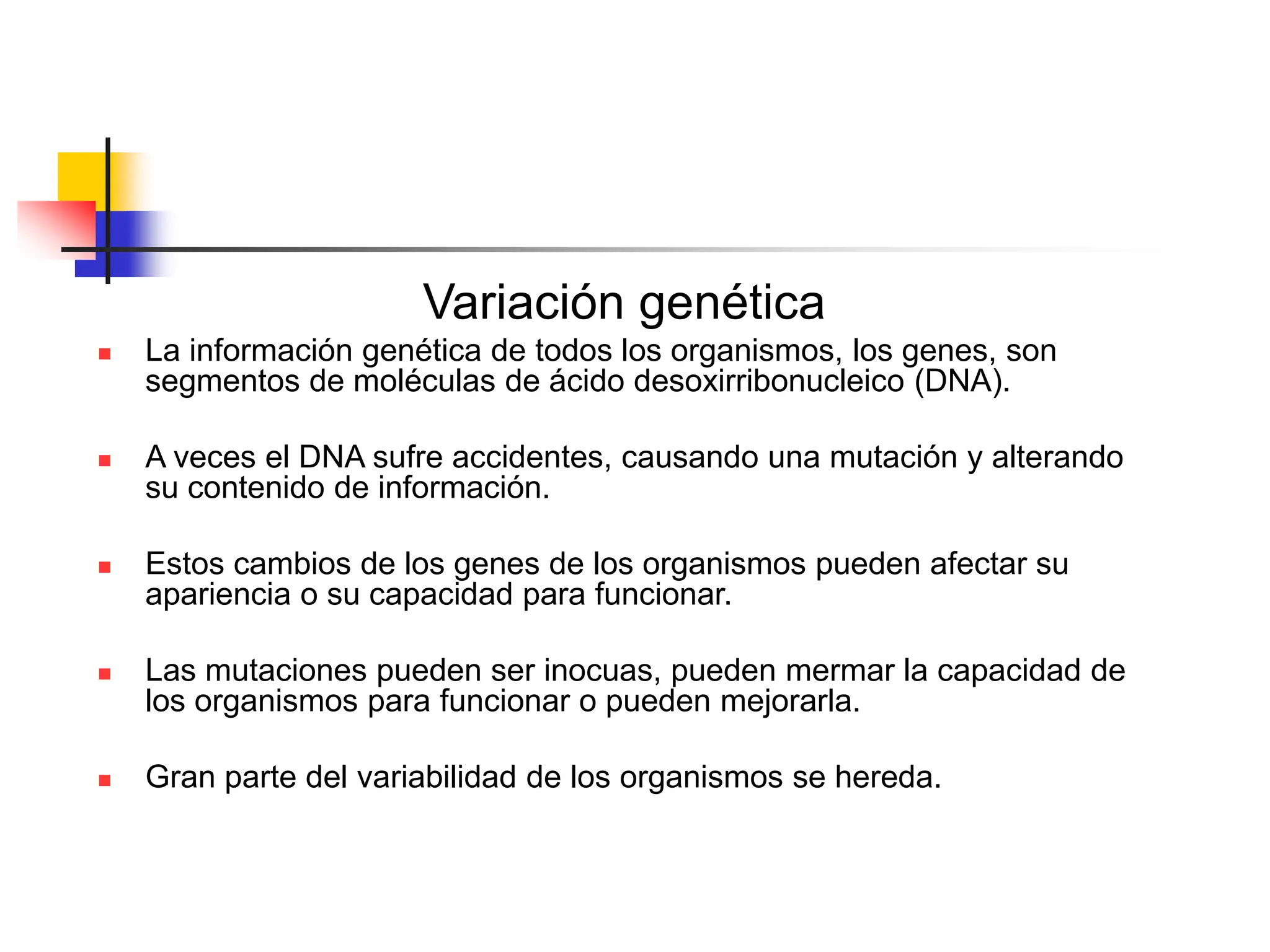 La evolución humana u hominización es el nombre que recibe el proceso ...