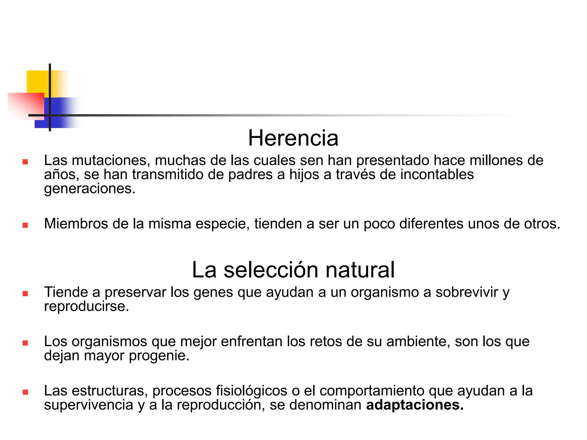 La evolución humana u hominización es el nombre que recibe el proceso ...