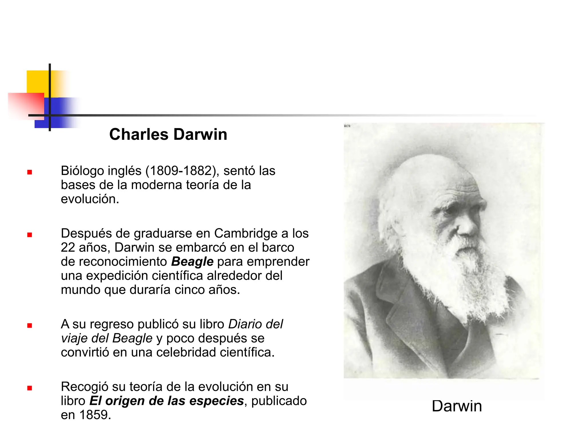 La evolución humana u hominización es el nombre que recibe el proceso ...