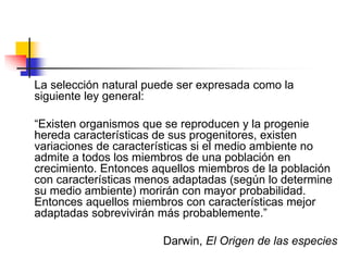 La evolución humana u hominización es el nombre que recibe el proceso ...
