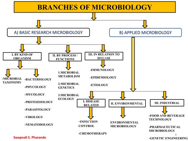 Introduction to Microbiology-Pharmaceutical Microbiology | PPT