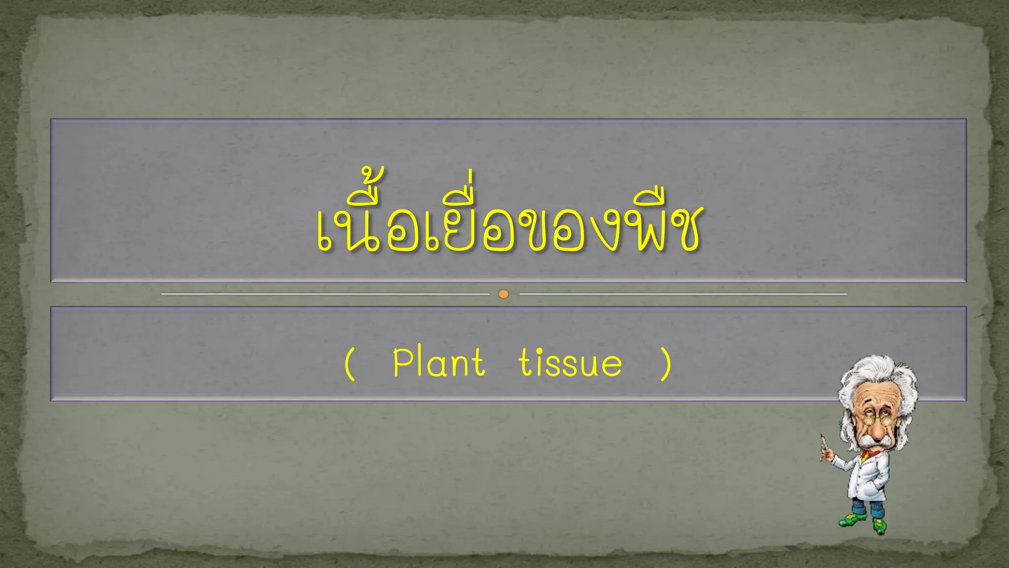 1.Chapter 1 เนื้อเยื่อของพืช(Plant tissue)(classroom).pdf
