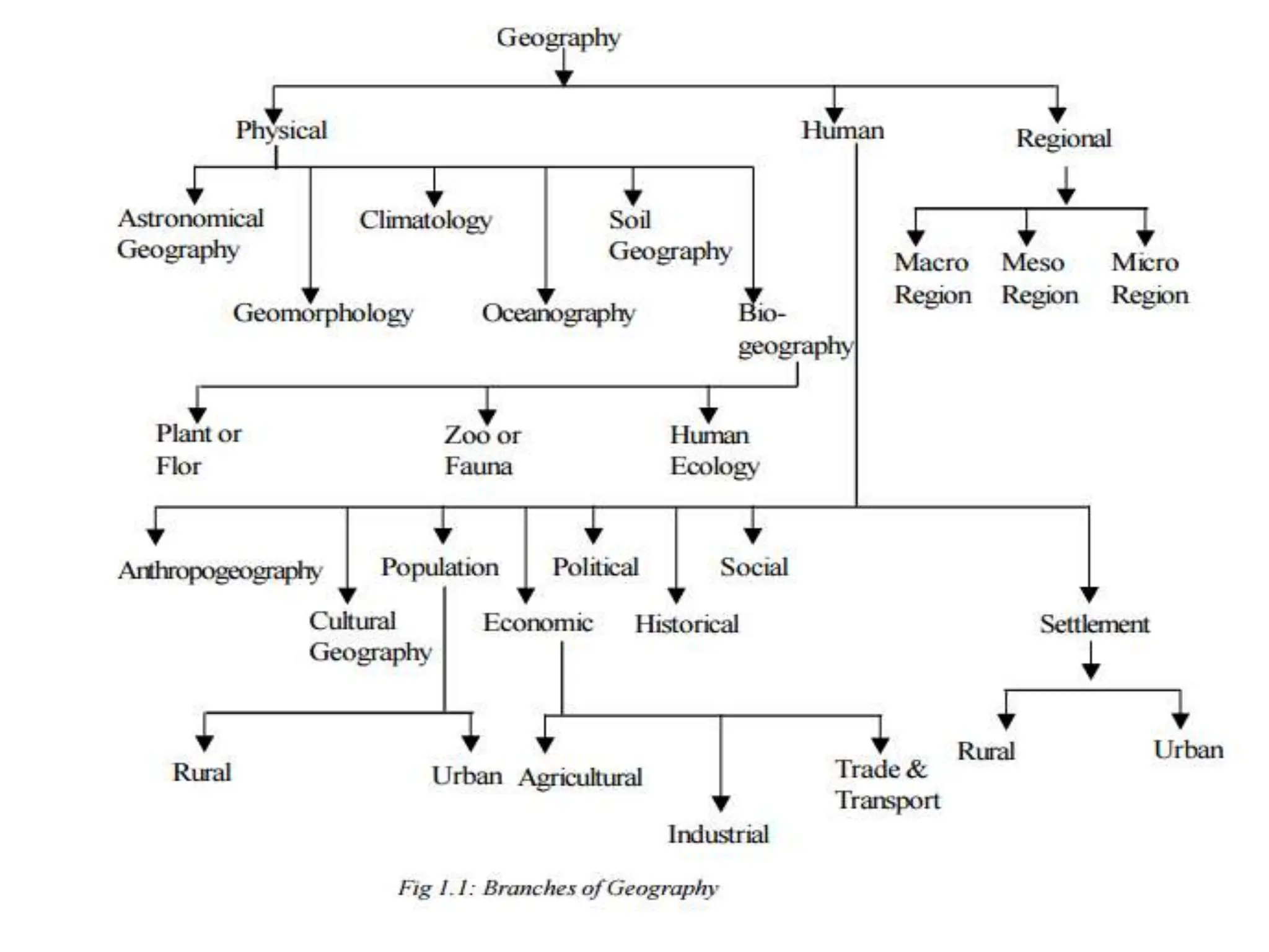 GEOGRAPHY AS DISCIPLINE for beginners .pptx