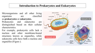 Introduction to prokaryotes and eukaryotes.pptx
