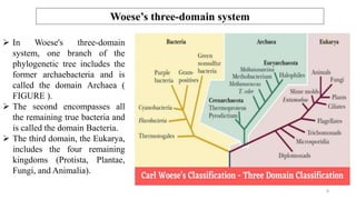 Introduction to prokaryotes and eukaryotes.pptx