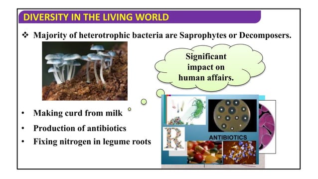 Biological classification introduction.. | PPT