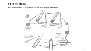 Isolation and preservation of pure Cultures.pptx