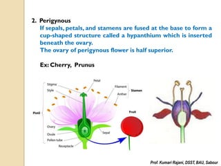 Floral Biology and Pollination Behavior of Crop Plants.pdf