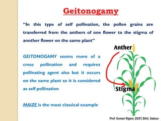 Floral Biology and Pollination Behavior of Crop Plants.pdf