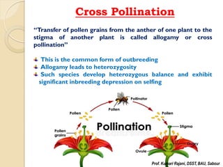 Floral Biology and Pollination Behavior of Crop Plants.pdf