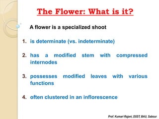 Floral Biology and Pollination Behavior of Crop Plants.pdf
