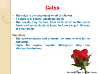 Floral Biology and Pollination Behavior of Crop Plants.pdf