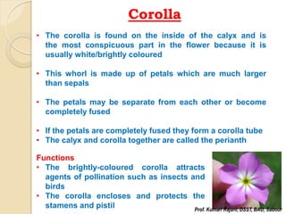 Floral Biology and Pollination Behavior of Crop Plants.pdf