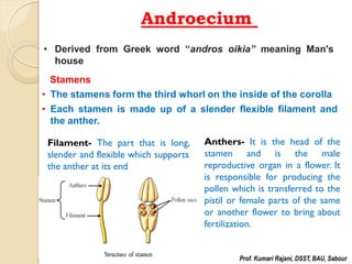 Floral Biology and Pollination Behavior of Crop Plants.pdf