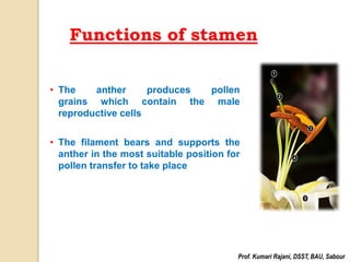 Floral Biology and Pollination Behavior of Crop Plants.pdf