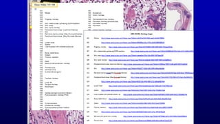1. Course Overview of histology and direction ppt | PPTX