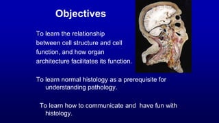 1. Course Overview of histology and direction ppt | PPTX