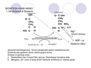 1.METABOLISME PROTEIN TUBUH PADA GIZIppt | PPT