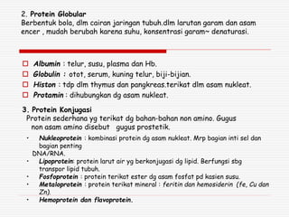 1.METABOLISME PROTEIN TUBUH PADA GIZIppt | PPT
