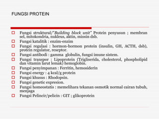 1.METABOLISME PROTEIN TUBUH PADA GIZIppt | PPT