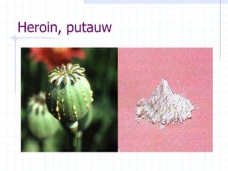 1. JENIs-jenis , arti dan bahayanya NAPZA.ppt