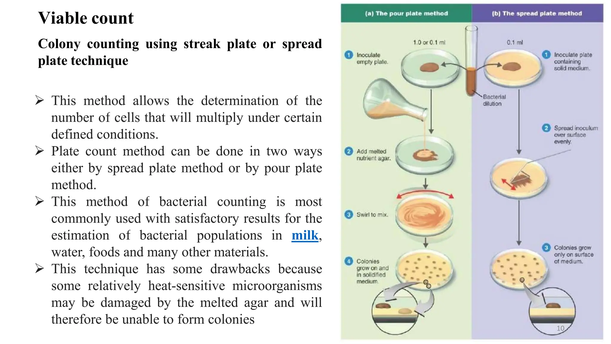 Quantitative Measurement Of Bacterial Growth Total And Viable Count Pptx