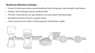 Quantitative measurement of bacterial growth(total and viable count).pptx