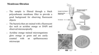 Quantitative measurement of bacterial growth(total and viable count).pptx