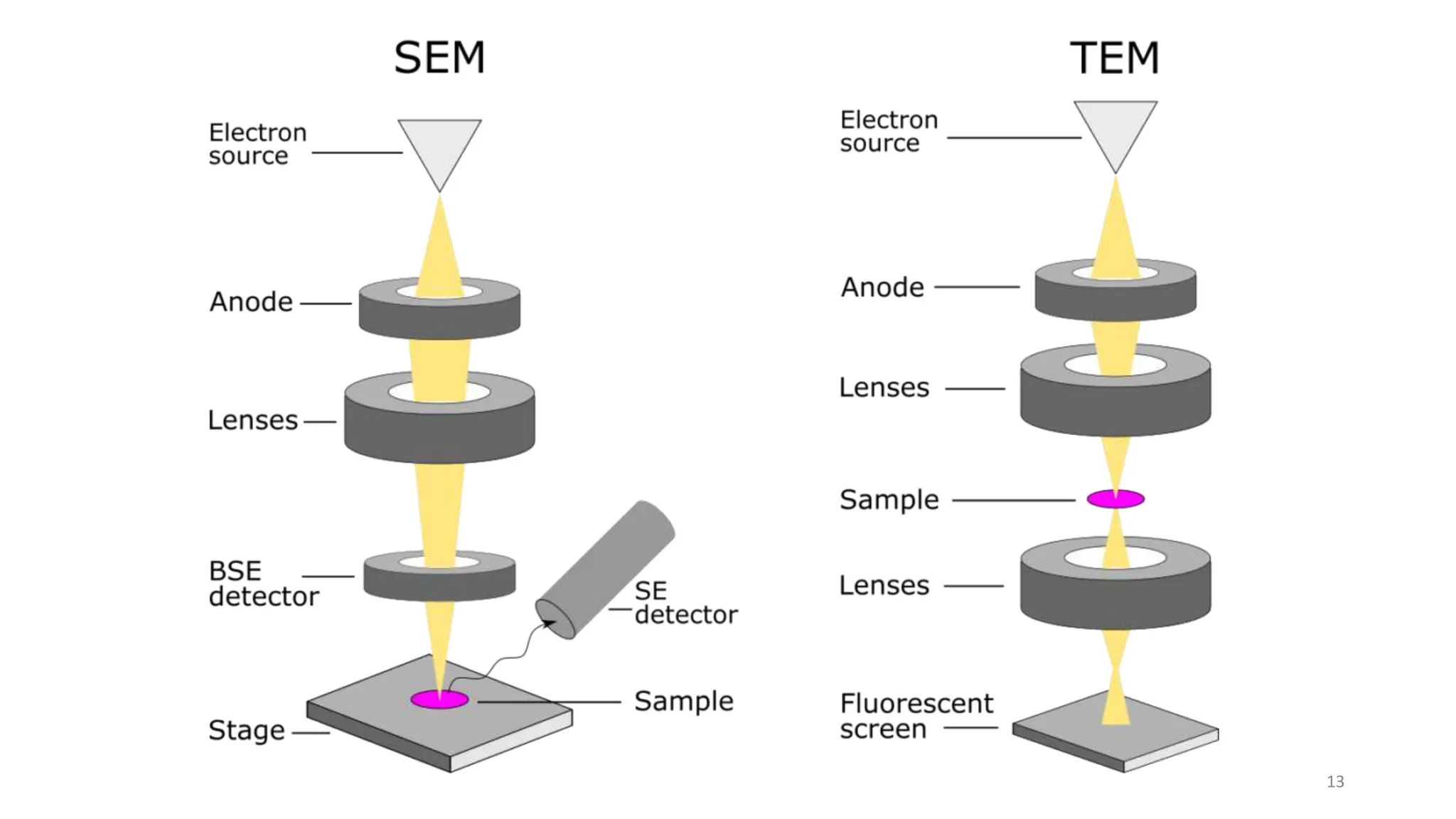 Phase Contrast Microscopy, Dark Field Microscopy and Electron ...