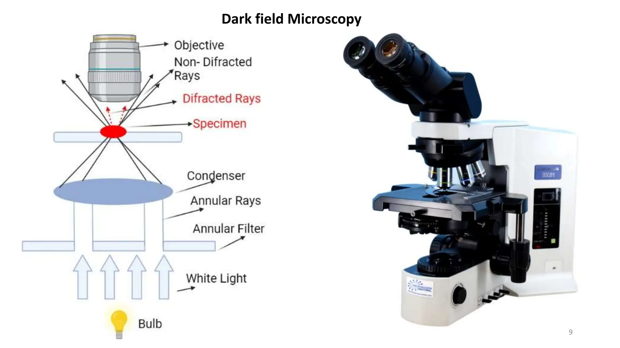 Phase Contrast Microscopy, Dark Field Microscopy and Electron Microscopy.pptx