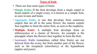 1.Introduction to Fruits and its types.pptx