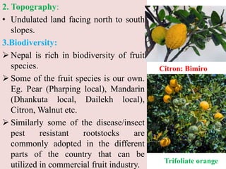1.Importance and scope of fruit cultivation.pptx