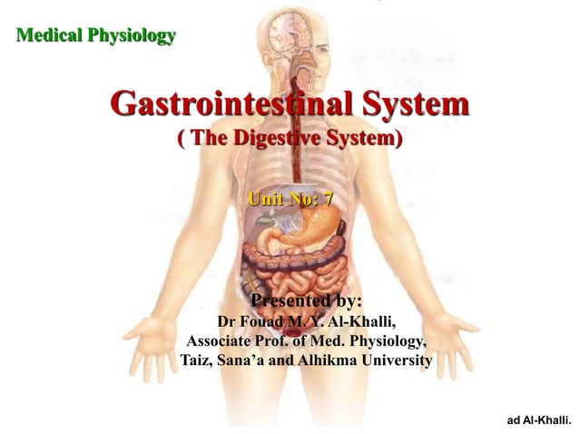 1. Introduction to GIT.ppt..pptx | Digestive Disorders | Diseases and Conditions