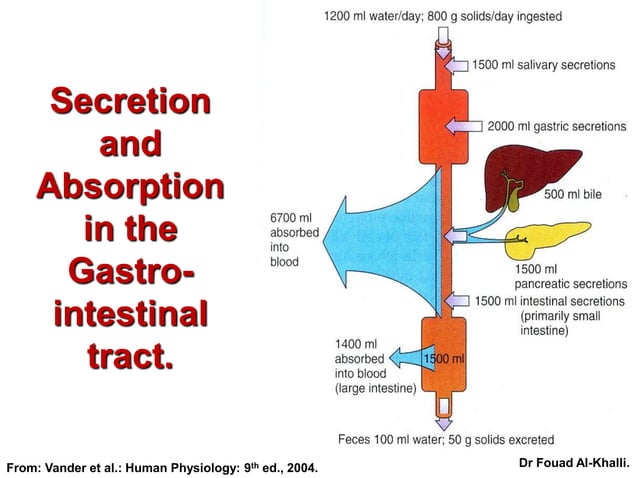 1. Introduction to GIT.ppt..pptx | Digestive Disorders | Diseases and ...