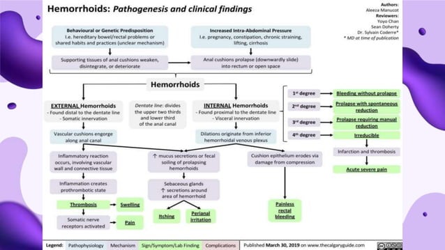 1. Hemoroid hemroud hemoroid hemoroid hemor | PPT